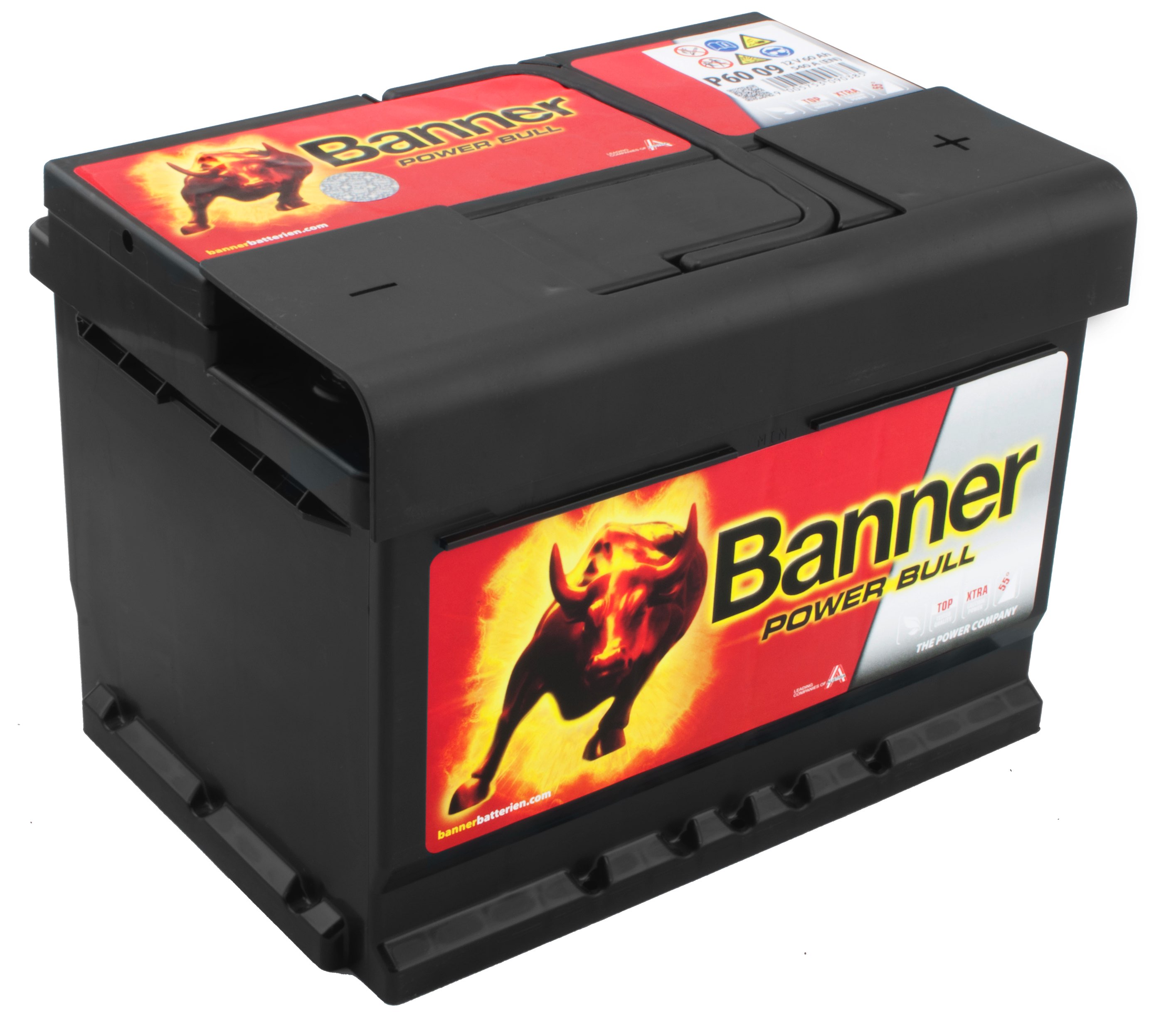 Аккумулятор Banner 60Ah 540A Power Bull P6009 купить | Низкая цена